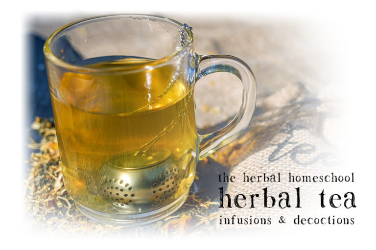 Herbal Tea; Infusions & Decoctions – The Herbal Homeschool
